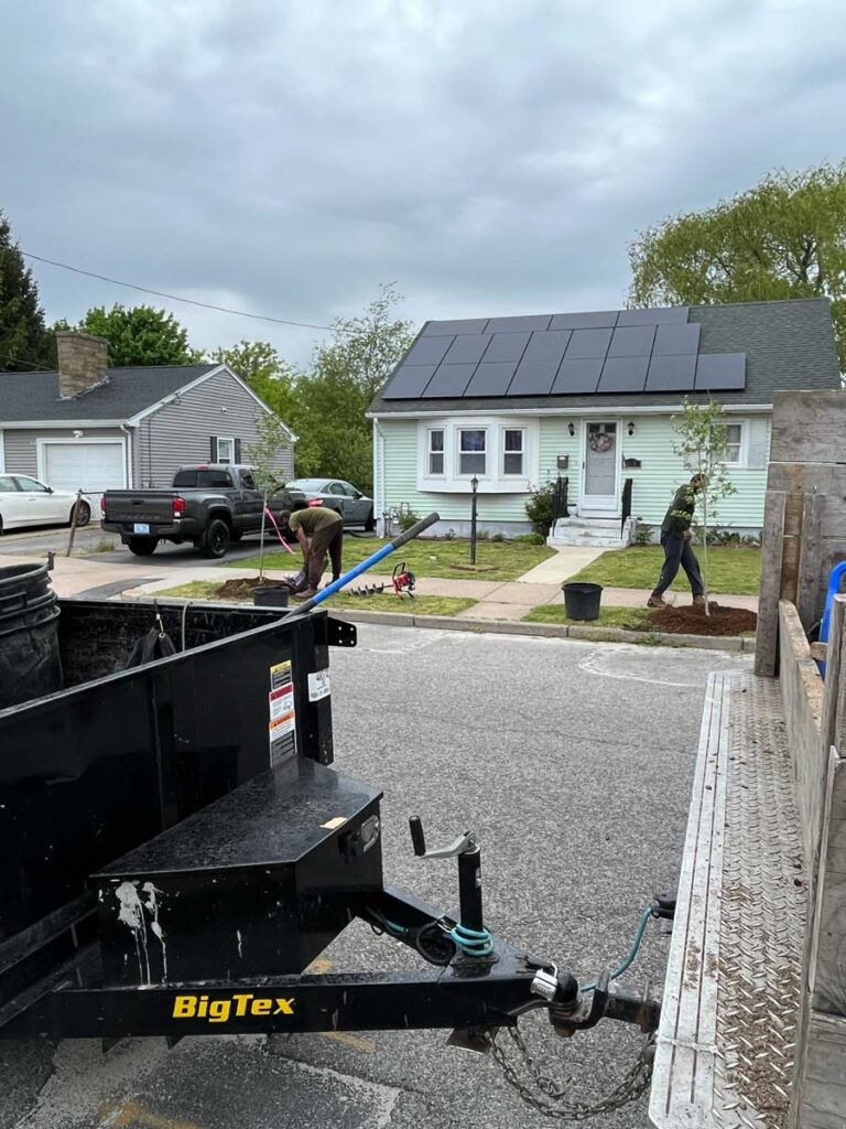 Tree Planting – Groundwork Rhode Island
